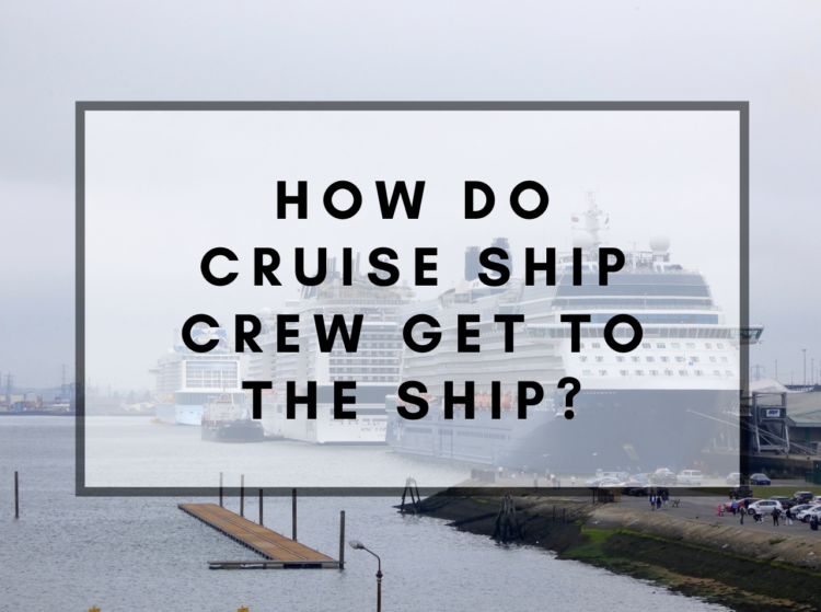 Can You Bring Your Family With You When You Work on a Cruise Ship ...